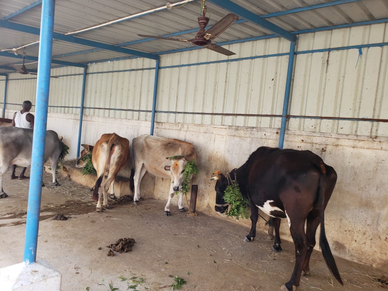 SPCT- Activities- Photo Gallery